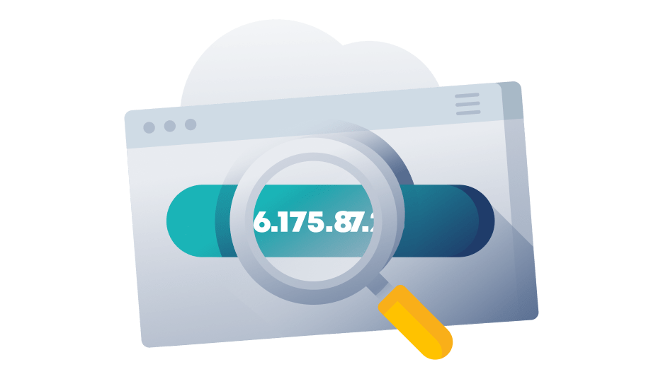 Ip Address
